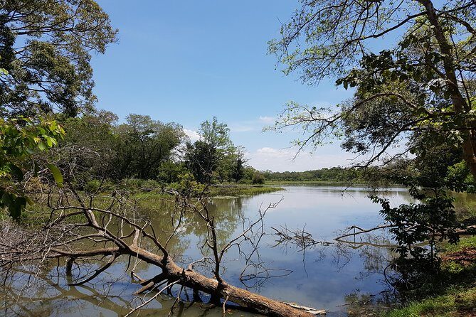 Udawalawe National Park Safari trip from Galle/Mirissa/Ella - FAQs