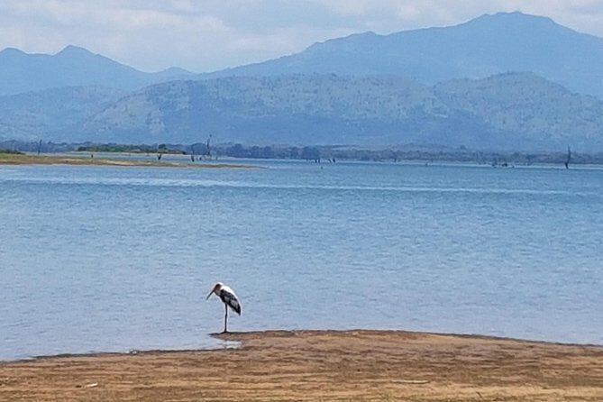 Udawalawe National Park Safari trip from Galle/Mirissa/Ella - Final Summary