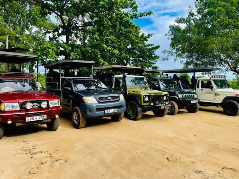 Udawalawe: National Park Safari with Elephant Transit Home - Introduction