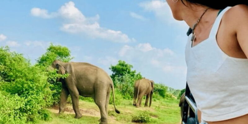 Udawalawe National Park: Safari with Experienced Driver - The Big Picture: Why Choose This Safari?