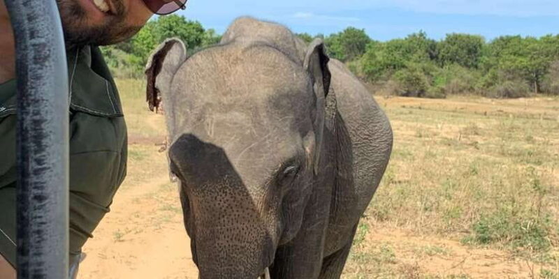 Udawalawe National Park Wildlife Safari from Galle - Key Points