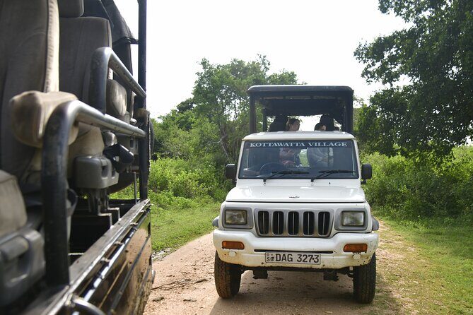 Udawalawe National Park Wildlife Safari Tours - Cancellation Policy and Flexibility