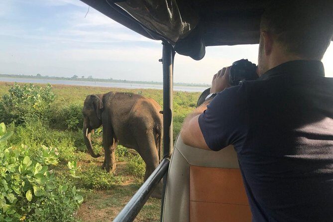Udawalawe National park with Elephant Transit Home From Colombo - FAQ: Your Practical Questions Answered