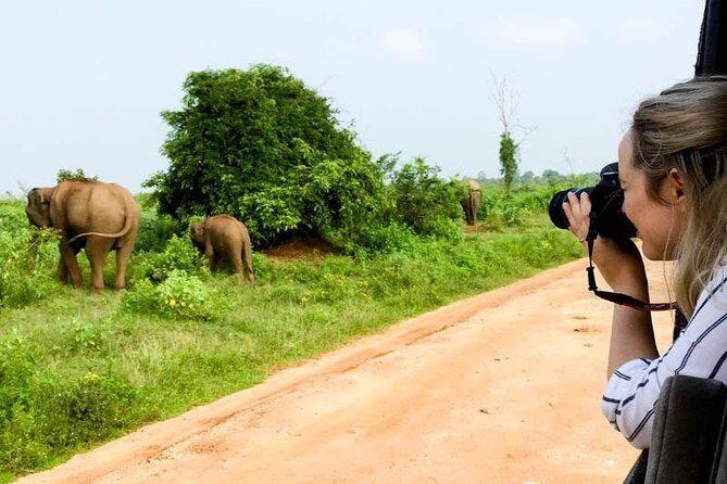 Udawalawe Private Safari frm Hambantota Port by BTM-All Inclusive - FAQ