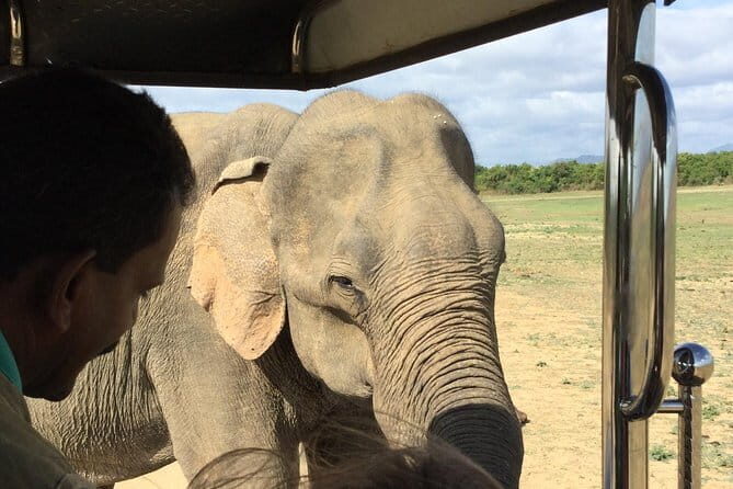 Udawalawe Private Safari Tour From AHUNGALLA - Introduction: An Authentic Safari Experience Near Galle