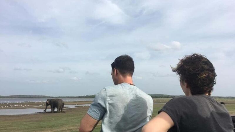 Udawalawe: Private Safari with Picnic and Hotel Pickup - Analyzing the Price and Value