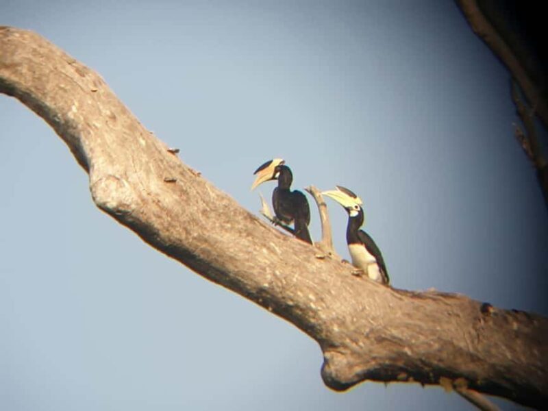 Udawalawe: Private Safari with Picnic and Hotel Pickup - FAQs