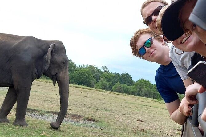 Udawalawe Safari Adventure - An Introduction to Udawalawe Safari Adventure