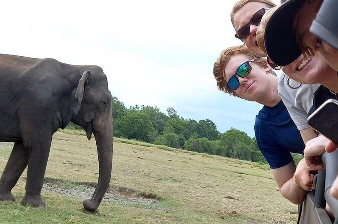 Udawalawe Safari Adventure - Practical Tips for Travelers