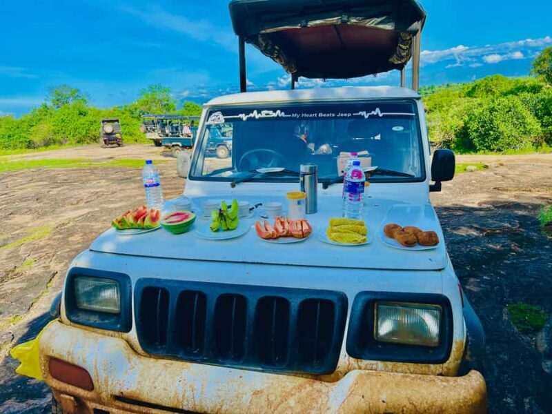 Udawalawe Safari All Inclusive Park Entrance, Jeep & Meals - The Value of This Safari