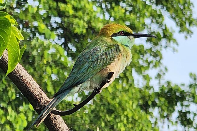 Udawalawe Safari and Authentic Sri Lankan Village Experience - The Value of This Tour