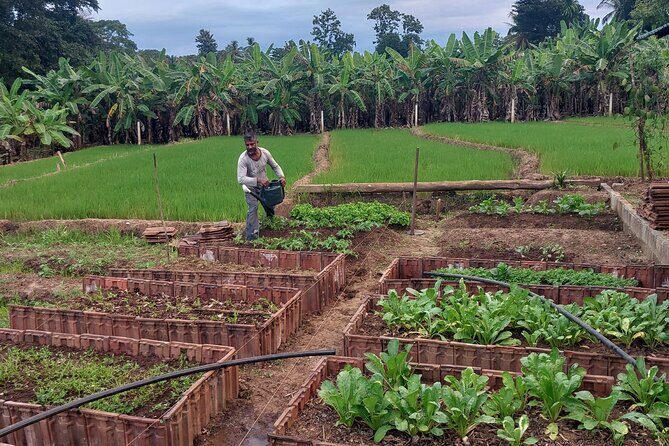 Udawalawe Safari and Authentic Sri Lankan Village Experience - How This Tour Compares With Others