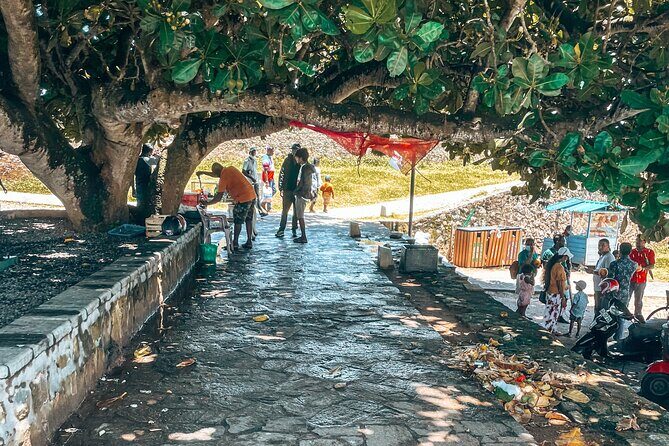 Udawalawe Safari and Galle Day Tour - The Sum Up