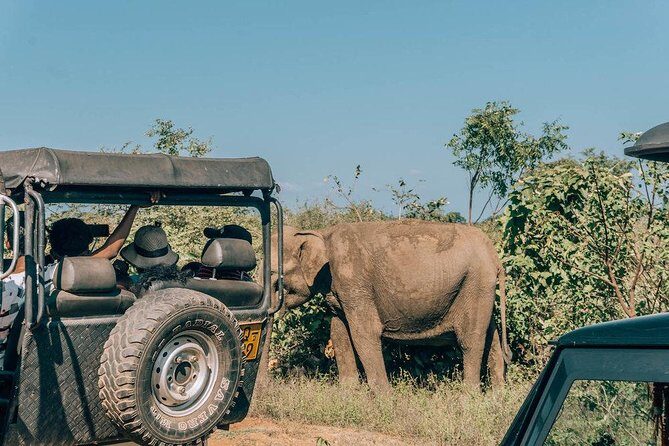 Udawalawe Safari & Elephant Transit Home Visit with Lunch from Hambantota Harbor - FAQs: Practical Questions About the Tour