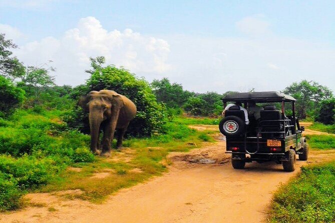 Udawalawe Safari - Private & Customize Tour - Final Thoughts