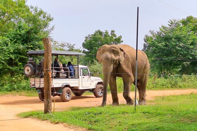 Udawalawe Safari - Private & Customize Tour - FAQ