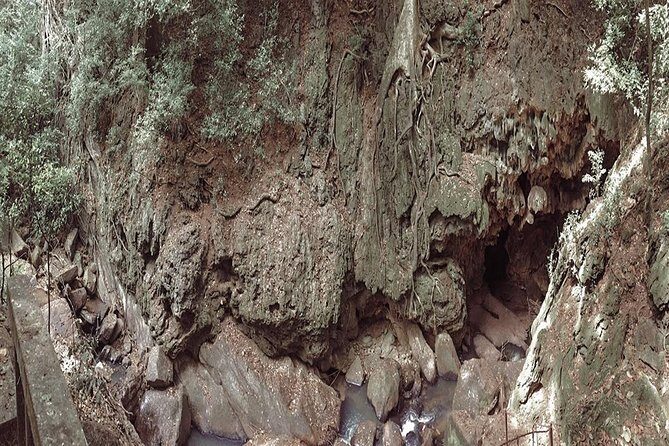 Udawalawe Safari & Waulpane Caving day tour from Colombo - Final Thoughts