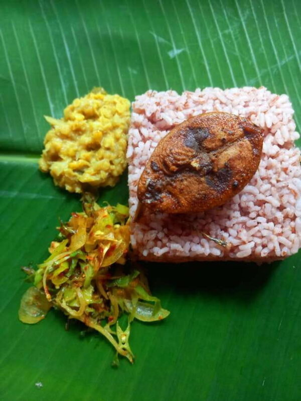 Udawalawe: Udawalawe Cooking experience with local family - In-Depth Look at the Itinerary