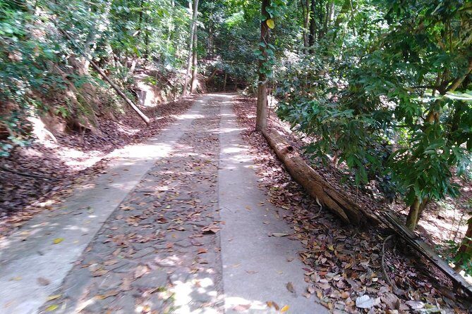 Udawatte Kele Santuary with Nature Walk from Kandy - Key Points