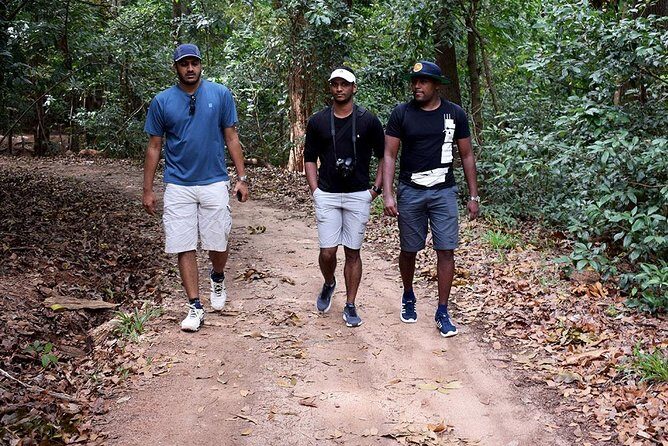 Udawatte Kele Santuary with Nature Walk from Kandy - Transportation and Logistics