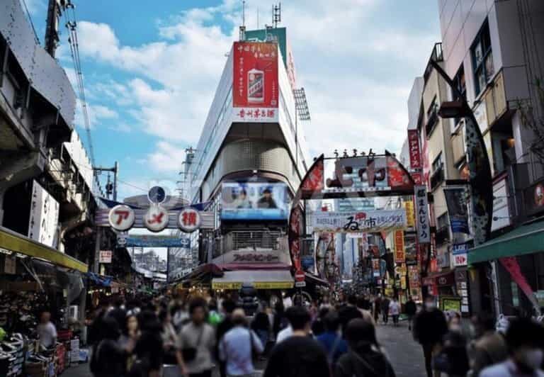 Ueno and Yanaka Day Walking Tour: Culture, Art and Old Tokyo - Key Points