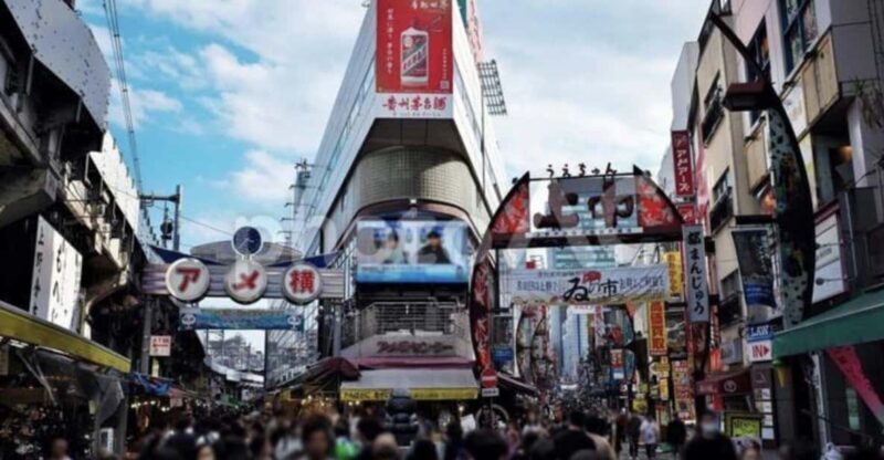 Ueno and Yanaka Day Walking Tour: Culture, Art and Old Tokyo - Who Should Consider This Tour?