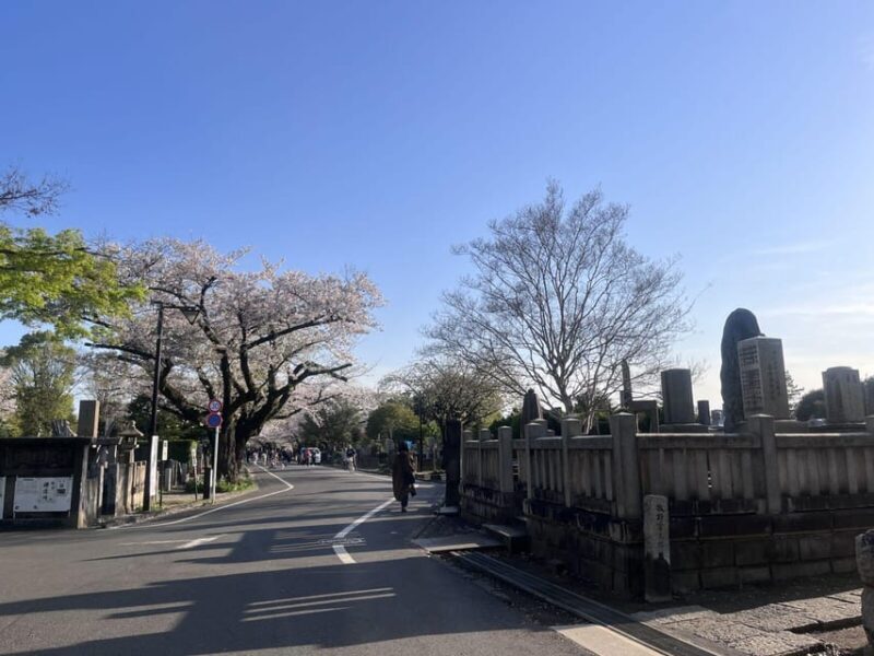 Ueno and Yanaka Day Walking Tour: Culture, Art and Old Tokyo - FAQ