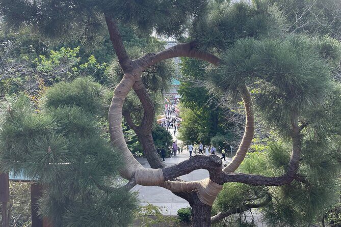 Ueno Local Bar Walk - FAQ