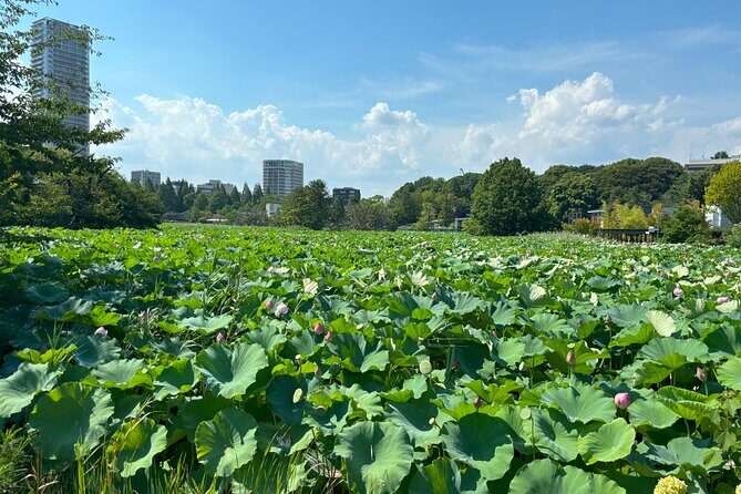 Ueno Park and Ameyoko Street Food Market Half Day Walking Tour - Practical Considerations and Value
