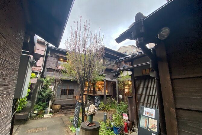 Ueno Walking Tour: Shrines, Markets and Modern Japan - Who Will Enjoy This Tour?