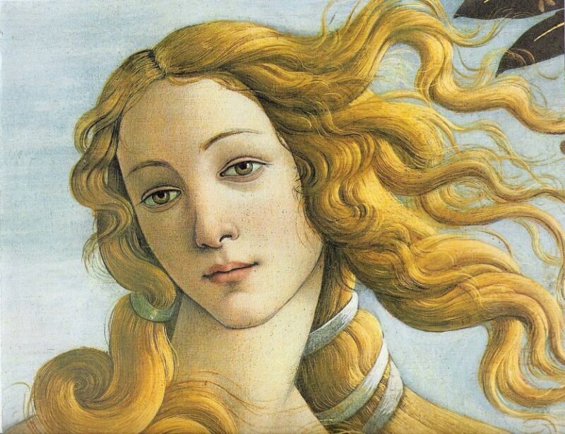 Uffizi and Accademia: Independent Visit with Audio Guide - Who Might Find It Less Satisfying?