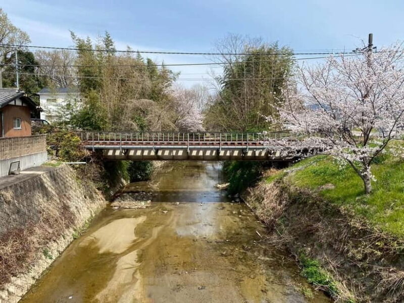 Uji: Tea Ceremony, Calligraphy, and Tea Field Walking Tour - Key Points