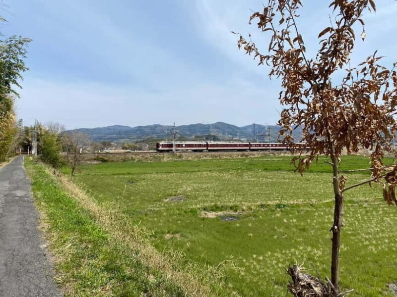 Uji: Tea Ceremony, Calligraphy, and Tea Field Walking Tour - An Authentic Look at Uji’s Cultural Treasures