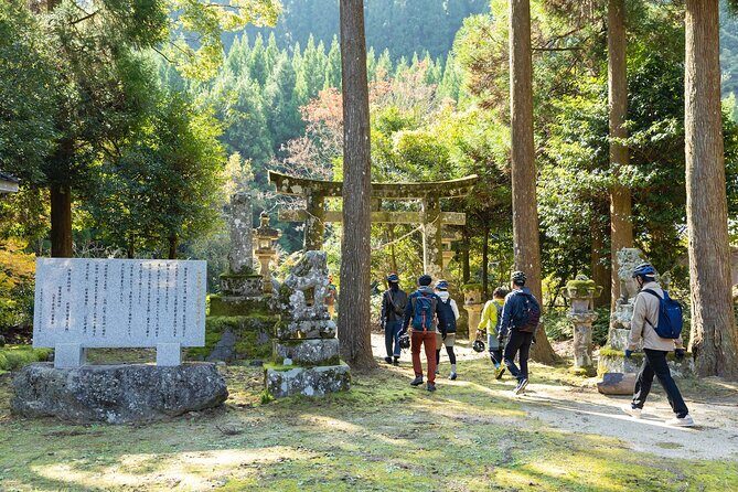Ukiha's Private Forest Ride - Setting the Scene: Why Choose This Tour?