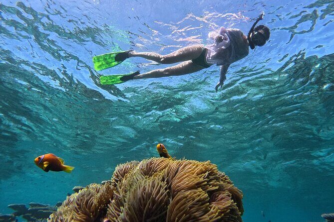 Ukulhas Tour A - 3 Points Snorkeling Tour - An In-Depth Look at the Ukulhas Tour A Experience