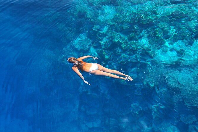 Ukulhas Tour D - Whale Shark Snorkeling & Coral Garden Tour - Key Points