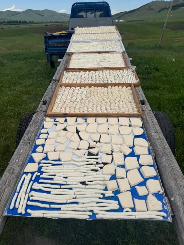 Ulaanbaatar: 7-Day Central Mongolia Tour with Meals - The Sum Up