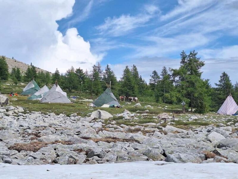 Ulaanbaatar: 9-Day Northern Mongolia Reindeer Adventure - Returning Through the Forest and Final Night with Nomads