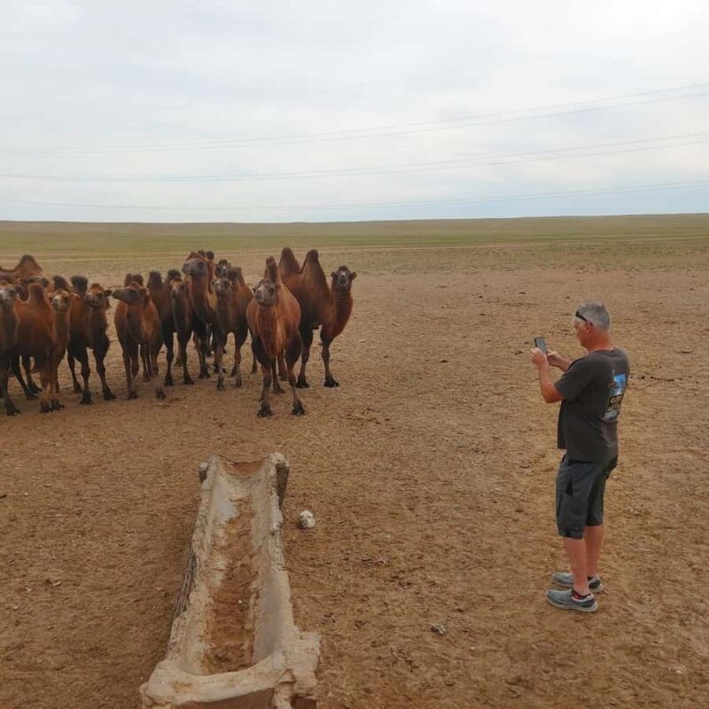 Ulaanbaatar: Khustai NP, Semi Gobi & Kharkhorin Tour - Key Points