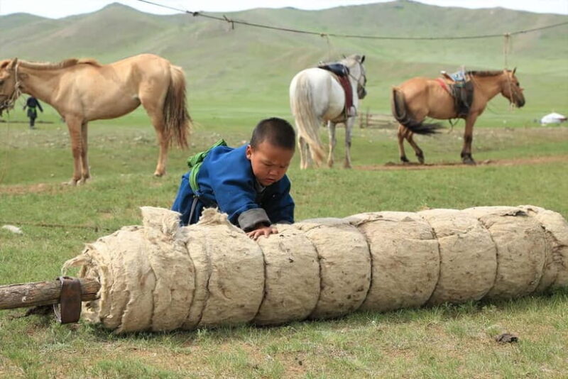 Ulaanbaatar: Mongol Nomadic Show & Wild Horse Watching Day - A Day in the Life: What To Expect