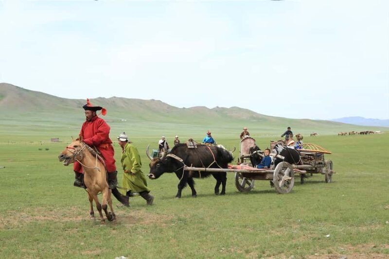 Ulaanbaatar: Nomadic Culture Show & Wild Horse Park Day Tour - Final Thoughts: Is It Worth It?