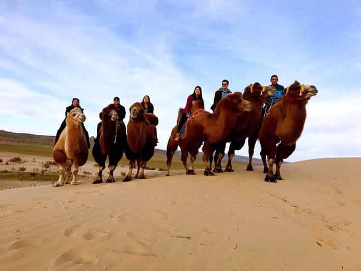 Ulaanbaatar: Semi-Gobi Desert Day Trip & Camel Ride - What the Reviews Say