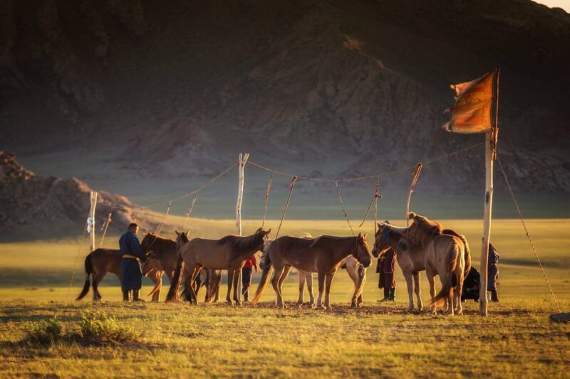 Ulaanbaatar: Semi-Gobi Desert Day Trip & Camel Ride - Is This Tour Worth It?