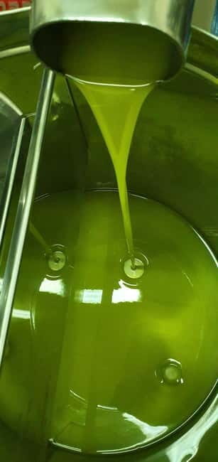 Uljara sv. Ivan Vodice: Olive Oil Tasting and Oil Mill Tour - FAQ
