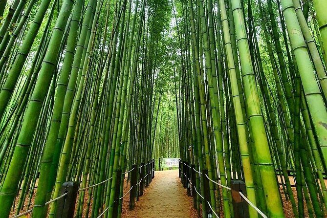 Ulsan Full Day Private Car Tour from Busan with a Certified Guide - FAQs