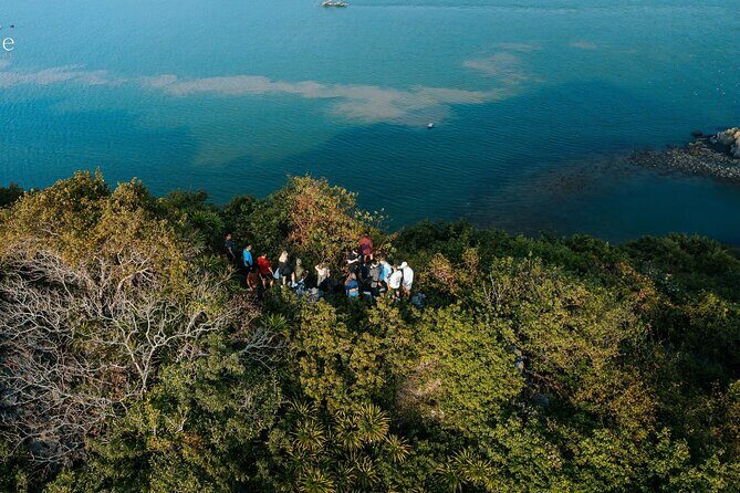 Ultimate 3-Day Oasis Cruise With Paradise Island Adventure - An Honest Look at the 3-Day Oasis Cruise