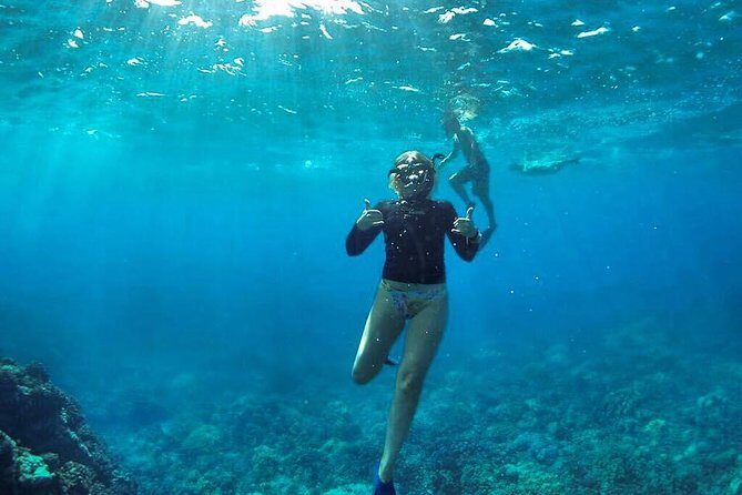 Ultimate 4 Hour Lanai Snorkel and Dolphin Encounter - The Value Proposition