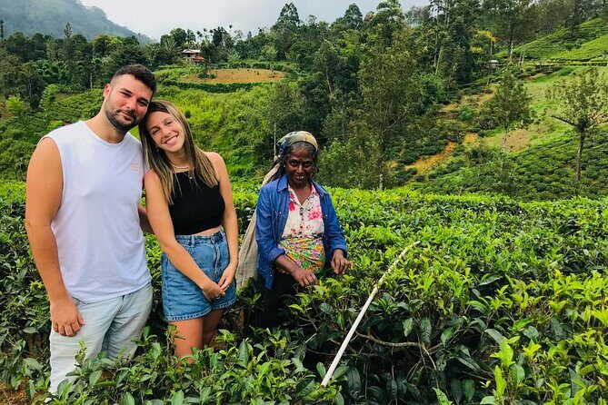 Ultimate 8-Day Sri Lanka Adventure: Private Guided Tour - Key Points