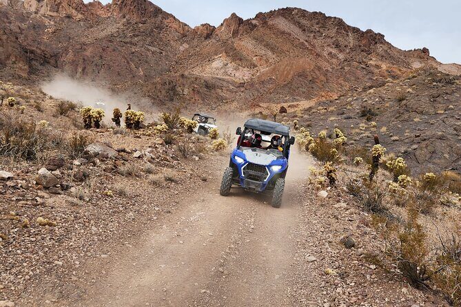 Ultimate Adventure: RZR + Ghost Town + Gold Mine + Games + Lunch - Key Points