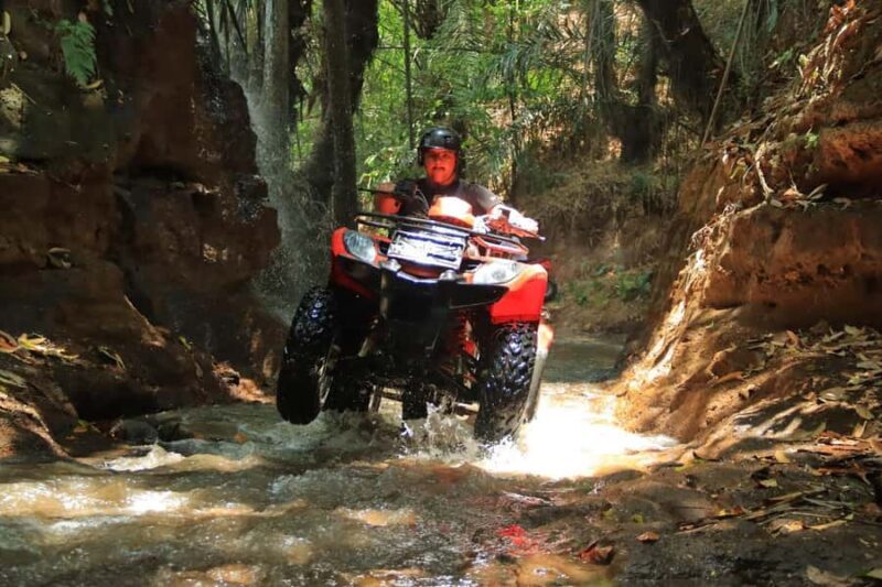 Ultimate Adventure with Bali Tarantula ATV (Hotel Transfer) - Key Points